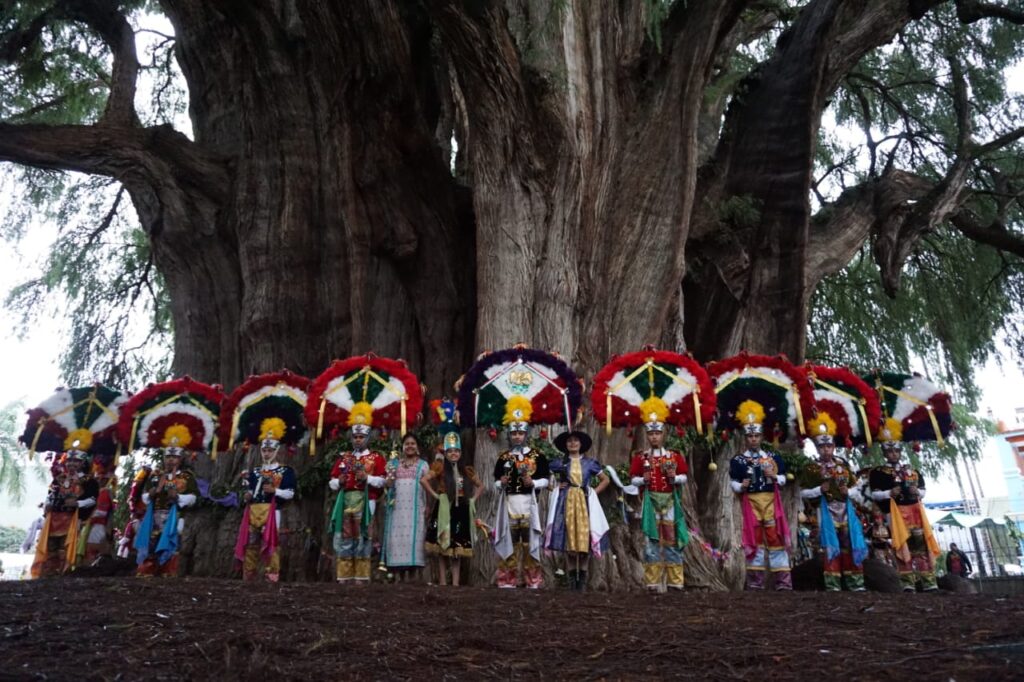 Exploring El Arbol del Tule in Oaxaca - discovertheroute.com Exploring El Arbol del Tule in Oaxaca - discovertheroute.com
